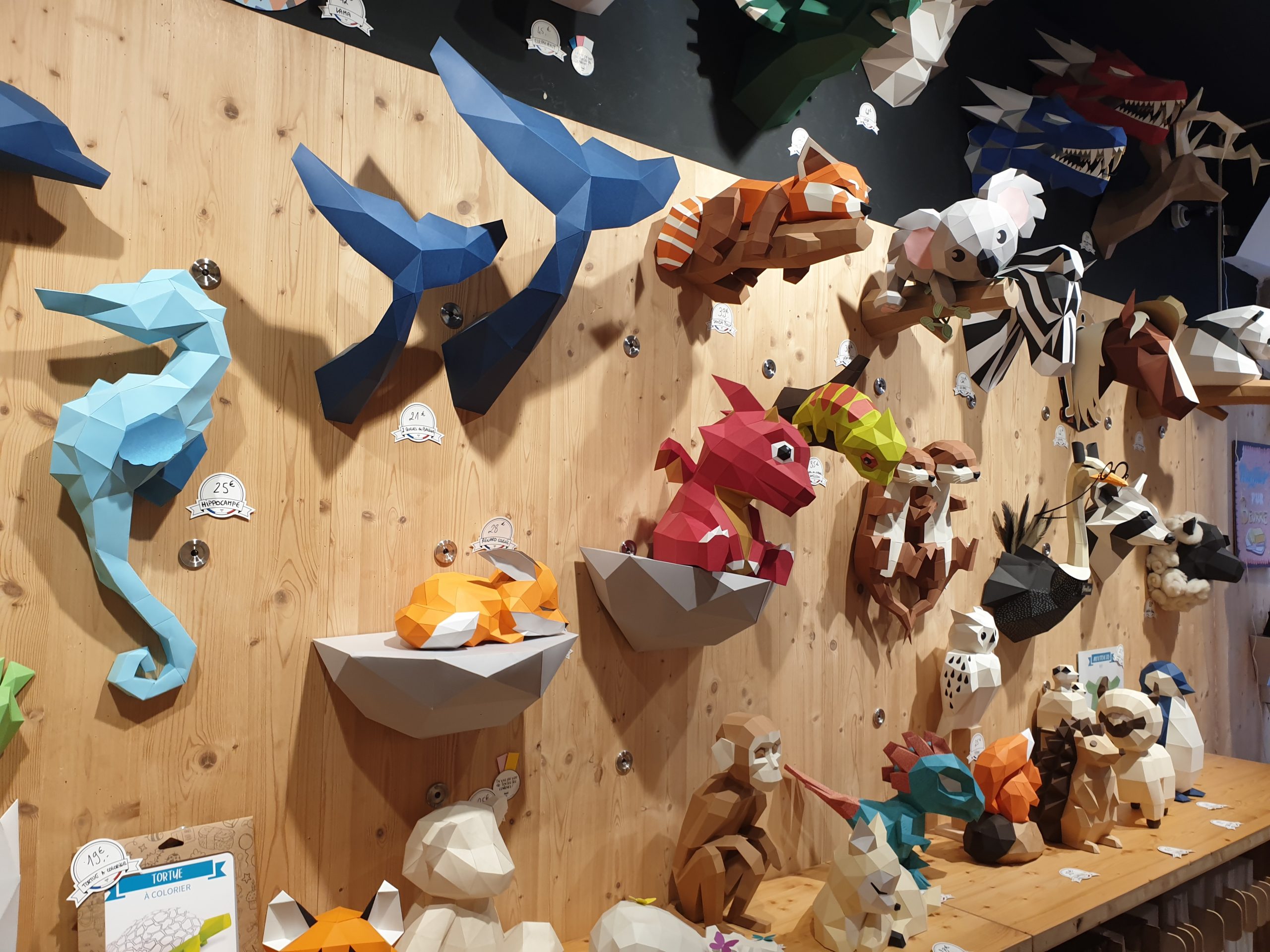 Agent Paper : Concevoir des origamis en trois dimensions - adn-actu